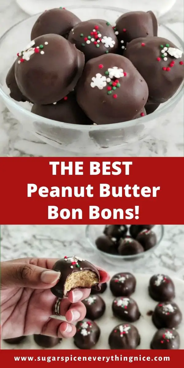 Chocolate Peanut Butter Bon Bons - Sugar Spice N' Everything Nice